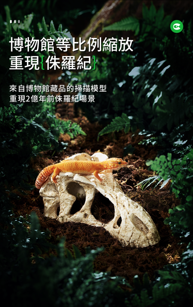 CLEEN其鱗 霸王龍頭骨 劍齒虎 爬蟲造景擺飾 - 角落水族